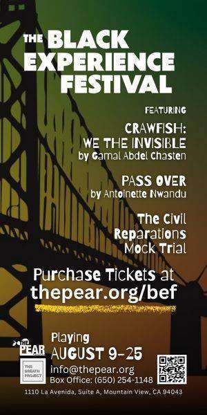 Black history of 504 sit-in for disability rights: More than serving ...